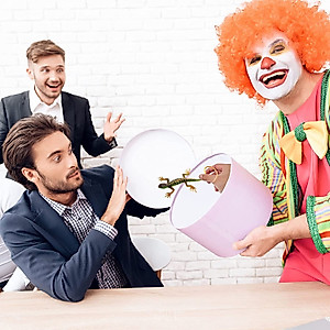 BAINFE 12Pcs Fake Plastic Lizard Toys Colorful Rubber Lizards Action Figure Reptile Toy Lizard Realistic Favors Gag Toys Prank and Prop, 5.5" Lizards 12 Styles