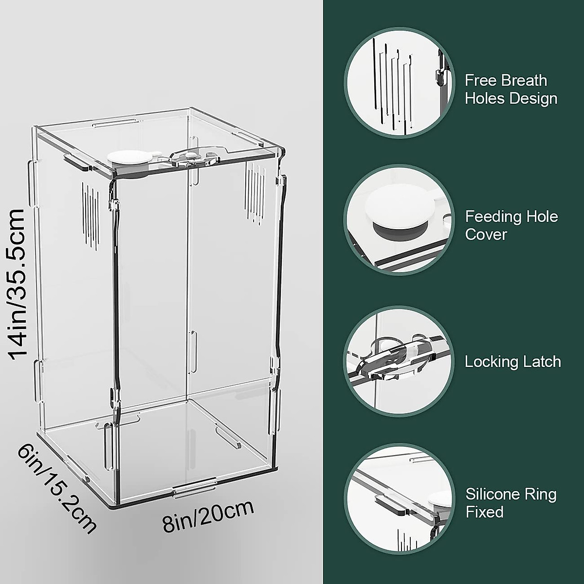 BETAZOOER Acrylic Mini Reptile Tank Habitat Transparent Terrariums with Locking Latch Suitable for Tarantula Isopod Roach Invertebrates (8''x6''x14'')