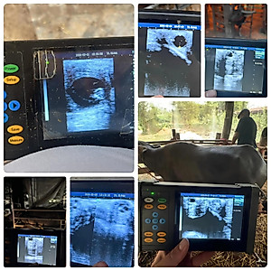 SUNBESTA A20 Veterinary Ultrasound Machine for Pregnancy, at Home Ultrasound for Dogs, Cats, Pigs, Sows, Sheep, and Goats Pregnancy Check (Convex Probe)