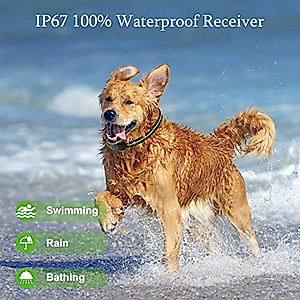 Seahighpet Rechargeable Dog Bark Collar: Anti Barking Collar with 5 Adjustable Sensitivity Smart Triggering No Bark Collars for Small Medium Large Dogs with Beep | Vibration | Shock