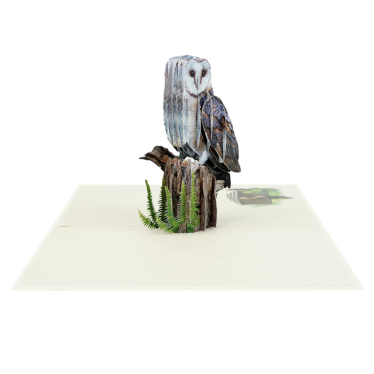 iGifts And Cards Majestic Owl 3D Pop-Up Greeting Card - 6"x8" Enchanting Forest Whispers Gift, Fun Present for Animal and Nature Lovers, Unique Ideas for Birthday, Graduation, Housewarming