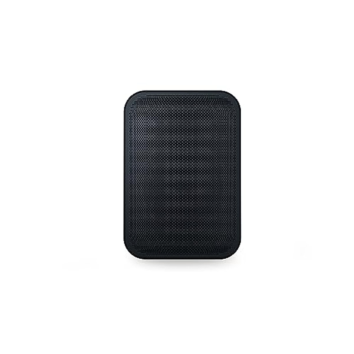 Bluesound Pulse Flex 2i Portable Wireless Multi-Room Smart Speaker with Bluetooth - Black - Compatible with Alexa and Siri
