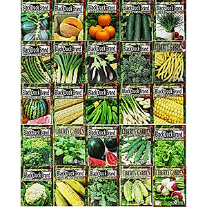 Set of 25 Premium Vegetable & Herb Seeds - 25 Deluxe Variety Premium Vegetable & Herb Garden 100% Non-GMO Heirloom