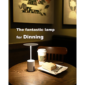 WEILAILUX Cordless Table Lamp Rechargeable, Indoor Outdoor Battery Operated Desk Lamp, Touch Dimmable Night Light with USB Charging, for Bedroom/Patio/Camping/Restaurant/Bar (2Pack White)