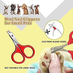 LLSPET Food and Water Bowl for Hamster/Rabbit/Chinchilla/Guinea Pig Other Small Pets,Rabbit Guinea Pig Hay Feeder,Made from Non-Toxic, BPA Free Plastic and Minimizing Waste and Mess