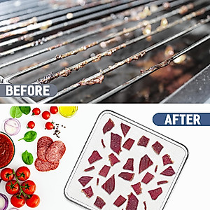 4 Pcs Silicone Food Dehydrator-Trays with Edge, 4 Pcs Mesh Dehydrator Mats,Reusable Non Stick Silicone Dehydrator Sheets (9.45x 9.45in) for Liquids,Fruit Leather,Herbs,Meat and Yogurt