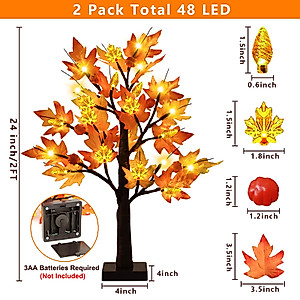2 Pack Fall Decor 24 Inch Prelit Fall Maple Tree with 48 LEDs Timer Battery Operated, Fall Decoration Tabletop Acorn Pumpkin Maple Leaves Artificial Tree for Thanksgiving Harvest Indoor Decoration