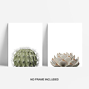 Botanical Plant Wall Art Prints, Cactus Wall Art, Minimalist Wall Art, Boho Wall Decor, Plant Wall Decor, Green Leaves Eucalyptus Pictures Posters, Bathroom Wall Decor, Kitchen Wall Decor (Set of 6, 8X10in, Unframed)
