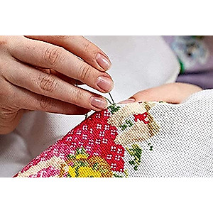 Cross-Stitch Stamped Kits, 11CT 3 Strands 16x20 inch, Athletic Border Collie Printed Cross Patterns, Embroidery Crafts Needlepoint Kit, Beginners Starter Kits, DIY Handmade Gifts