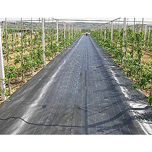 GRASSCLUB Weed Barrier Control Woven Garden Weed Landscape Fabric Heavy Duty Ground Cover 6.5ft x 32ft (208 Sq ft)