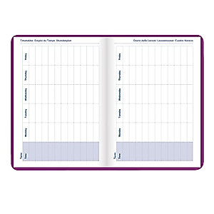 Letts of London Dazzle Academic Weekly Planner, August 2023 to July 2024, Week-to-View, Sewn Binding, Multilingual, A5 Size, 8.25" x 5.875", Purple (C031116-24)