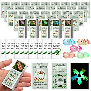 Wonderjune 36 Sets Christmas Employee Appreciation Gifts Bulk Emotional Support Cheer Gifts Christmas Small Gifts for Coworkers Inspirational Mail Positive Gifts for Team Staff (Turtle)