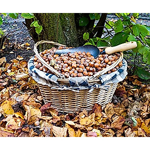 Tierra Garden Dewit Forged Scoop with Ash Handle