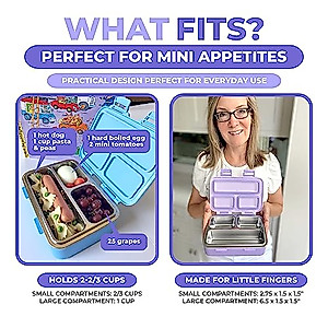 kinsho Stainless Steel Lunch Box for Baby or Toddlers Girls, Mini Bento, 3 Eco Metal Portion Sections Leakproof Lid, Pre-School Daycare Lunches, Toddler and Kids Spill-Proof Snack Container, Purple