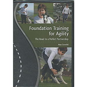 Foundation Training for Agility: The Road to a Perfect Partnership