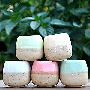 Happyyami 6Pcs Thumb Ceramic Planter Ceramic owl Pot Mini Succulent Pot Floral Ceramic vase Lovely Flower Pots air Plants Vases Plant Pot Mini vase Desktop Decorations Ceramics Brush Holder