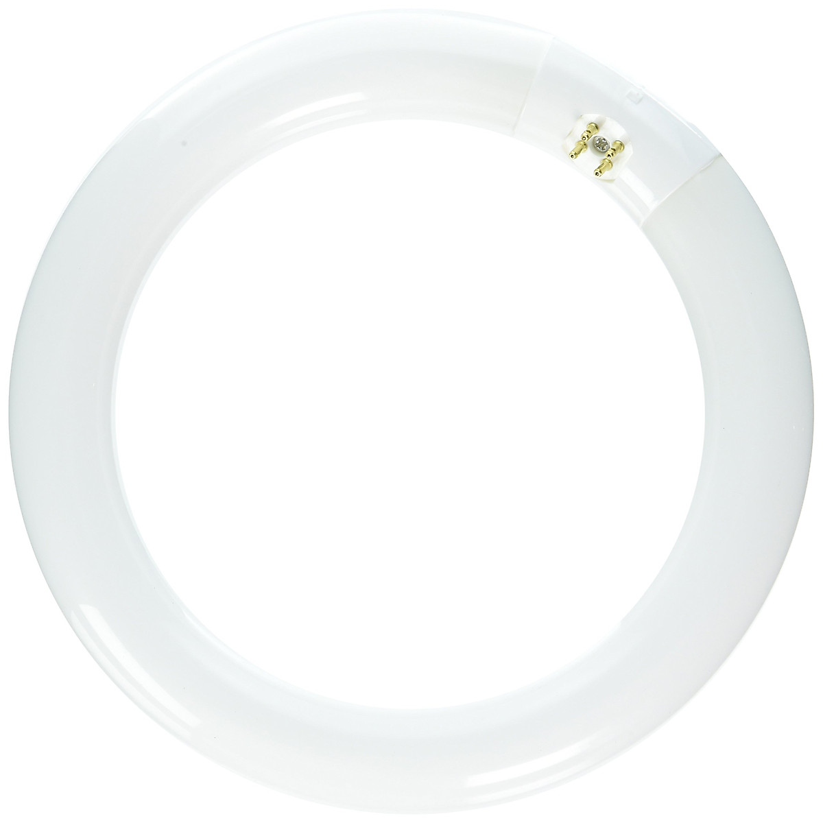 Eiko FC8T9/CW Circline T-9 G10Q Base Halogen Bulb, 22W, Cool White