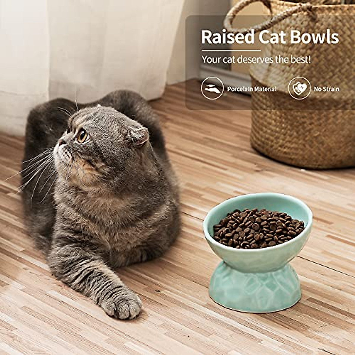 TAMAYKIM Tilted Ceramic Raised Cat Bowls, 8 OZ Food and Water Bowl Set for Cats, 5 inch Porcelain Elevated Stress Free Feeding Pet Dish, Dishwasher and Microwave Safe, 2 Pack (White & Mint Green)