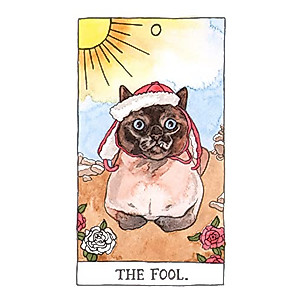 Cat Tarot: 78 Cards & Guidebook (-)