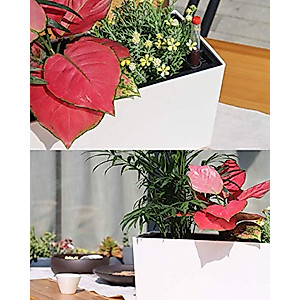 SAROSORA 14" Rectangle Self Watering Planter with Water Level Indicators for Plants & Flower Home Garden Outdoor Indoor Succulent | Herb pots | Window Box (1, White)