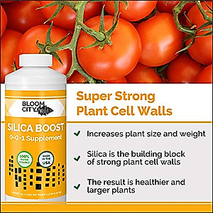 Liquid Silica Boost Fertilizer and Supplement by Bloom City, Quart (32 oz) Concentrated Makes 180 Gallons
