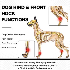 ROZKITCH Dog Leg Protector for Rear Hock Joint or Front Leg Brace, 1 Pair of Dog Leg Compression Wrap Sleeve for Anti Licking Carpal Support Ankle Support Protect Injury Sprain Torn ACL CCL Black L