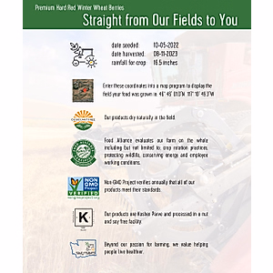 Hard Red Winter Wheat Berries | 5 LBS | Family Farmed in Washington State | Non-GMO Project Verified | 100% Non-Irradiated | Certified Kosher Parve | Field Traced | Burlap Bag