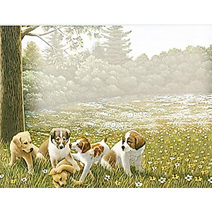 All About You Personalized Name Meaning Keepsake Print Gifts Signs Wall Art Decoration