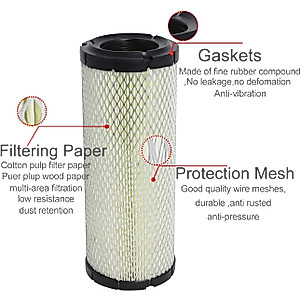 Podoy P822858 and P821575 Air Filter Set(2 Pack) Compatible with FPG05 Air Cleaner 11013-7044 11013-7045 46438 42985 2508301-S 2508304-S M131802 M131803