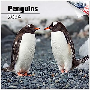 2023 2024 Penguin Calendar - Cute Wildlife Sealife Monthly Wall Calendar - 12 x 24 Open - Thick No-Bleed Paper - Giftable - Academic Teacher's Planner Calendar Organizing & Planning