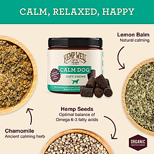 Hemp Well Calm Dog Soft Chews: Organic, Melatonin and Hemp Infused Calming Chews for Dogs with Anxiety, Separation Anxiety Relief and Stress Relief - 1 Pack Chews