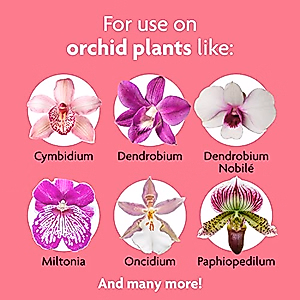 Miracle-Gro Ready-To-Use Orchid Plant Food Mist, 8 oz., Orchid Food Feeds Plants Instantly, 1 Pack