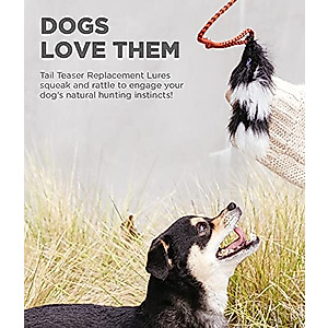 Outward Hound Tail Teaser Replacement Lure for Dog Teaser Wand, Fox