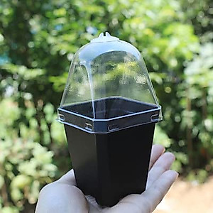 Cashger 10 Pack Plant Nursery Pots Sets 3" Thicken Soft Plastic Gardening Pot Little Planting Pots Seedling Cups with 10 PCS Labels, Humidity Lids and Trays