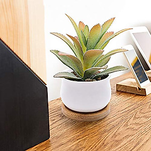 SHECIPIN Succulent Plant Pot, White Mini 2.6 inch Ceramic Flower Planter Pot with Bamboo Tray, Pack of 8 - Plants Not Included