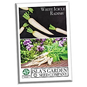 White Icicle Radish Seeds for Planting, 200+ Heirloom Seeds Per Packet, (Isla's Garden Seeds), Non GMO Seeds, Botanical Name: Raphanus sativus, Great Home Garden Gift