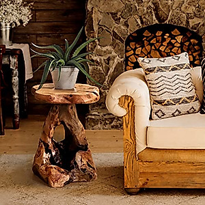Warmaxx Natural Irregular Shape Tree Stump End Table Plant Stand, 14"x13"x18"H Solid Cedar Wood Outdoor Rustic Sit Foot Stools Live Edge Coffee Side Table for Living Room Bedroom Bath Outdoor Garden