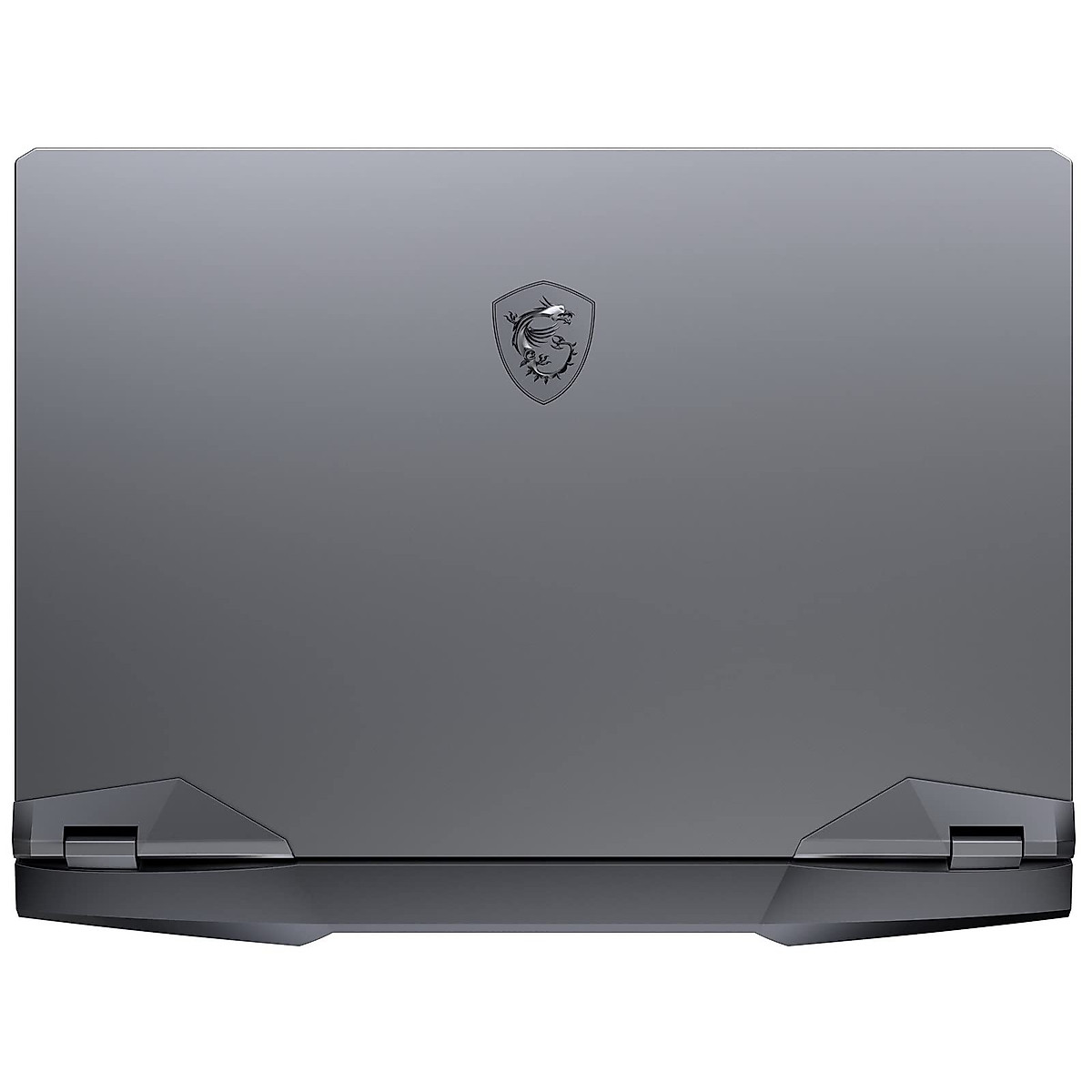 EXCaliberPC 2022 MSI Raider GE66 12UGS-238 (i7-12700H, 32GB RAM, 1TB NVMe SSD, RTX 3070Ti 8GB, 15.6" QHD 240Hz, Windows 11) Gaming Laptop