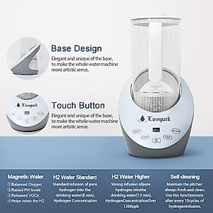 Hydrogen Water Generator Pitcher - SPE & PEM Ionized Electrolysis,Hydrogen Water Machine Purified PH Balanced Water, BPA Free Jug, includes 2 Calcium Sulfite Filters