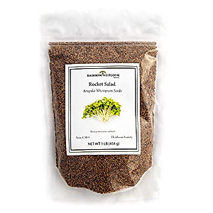 Arugula Microgreen Seeds Bulk 1 LB Resealable Bag | Spicy & Flavorful Greens | Non GMO Heirloom Seeds | Rocket Salad by Rainbow Heirloom Seed Co.