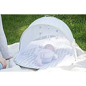 Regalo Baby Basics™ Foldable Infant Play Mat, Includes Hanging Toys, Designer Pad, Bug Net, and UPF 50 Sunshade