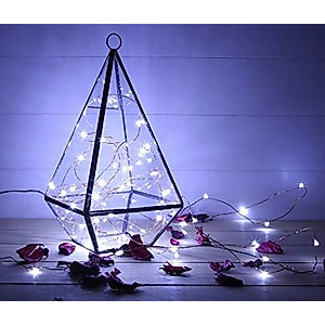 Gift Expressions Cool White 10 Pack of 20 LEDs Mini Bulb Battery Operated, 10ft/3m,Corridor, Patio, Garden, Photo Frame, Bedroom Home Crafts (10 Pack)