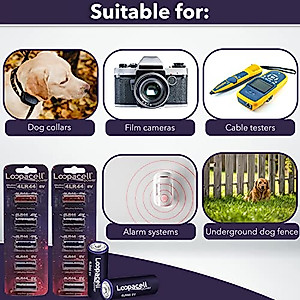 10 Pack 4LR44 / PX28A / L1325 / A544 / K28A / 476A 6V Alkaline Batteries for Dog Shock/Training Collars by Loopacell, 5 Count (Pack of 2)