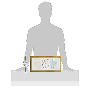 Amazon Basics 3 Photo Collage Picture Frame - 4" x 6" Display, Brass