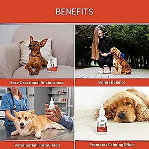 Aspen Green USDA Certified Organic Hemp Oil for Dogs & Cats - Helps with Calming and Mobility - Dog Hemp Oil Drops May Support Occasional Dog & Cat Anxiety Relief (Bacon Flavored, for Medium Pets)