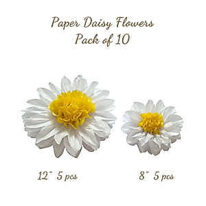 ANSOMO Daisy Tissue Paper Pom Poms Party Decorations White Yellow Flowers Wall Hanging 1st Birthday Bridal Baby Shower Wedding Classroom Décor 12" 8" Pack of 10