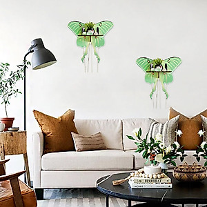 JruiZhp Butterfly Shelf， 1Pcs Green Butterfly Wooden Whimsigoth Decor Shelf Hanging Wall Shelf Floating Holder Shelves Storage Rack for Home Decoration