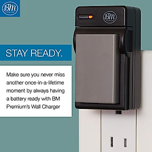 BM Premium 2 Pack of EN-EL9, EN-EL9A Batteries and Battery Charger for Nikon D5000, D3000, D60, D40x & D40 Digital SLR Camera