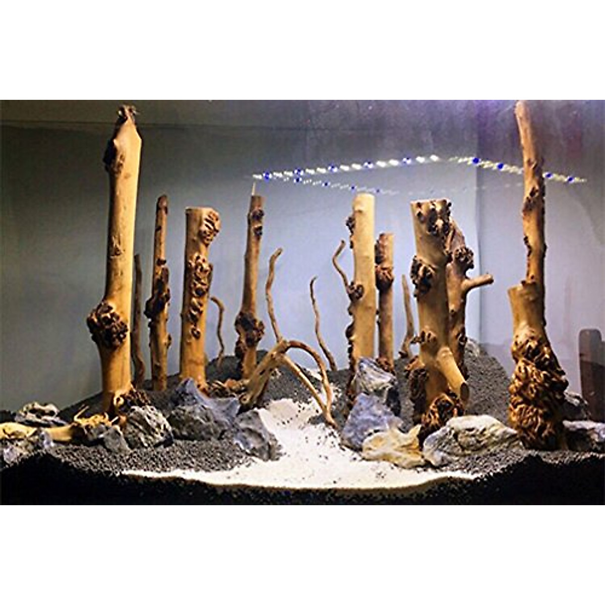 emours Reptile Décor Natural Forest Branch Terrarium Wood Aquarium Ornament, 4 Pack