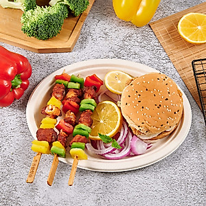 Vplus 100% Compostable Oval Paper Plates 10 inch 125 Pack Super Strong Disposable Paper Plates Natural Biodegradable Eco-Friendly Sugarcane Plates for BBQ, Party, Gathering, and Picnic